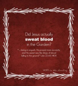 Pastoral Prayer For Joys And Concerns